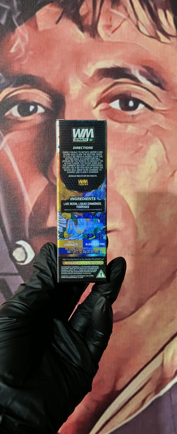 WHOLE MELT BLACKBERRY FIRE & LEMONATTI (HYBRID & HYBRID) 2gr ...